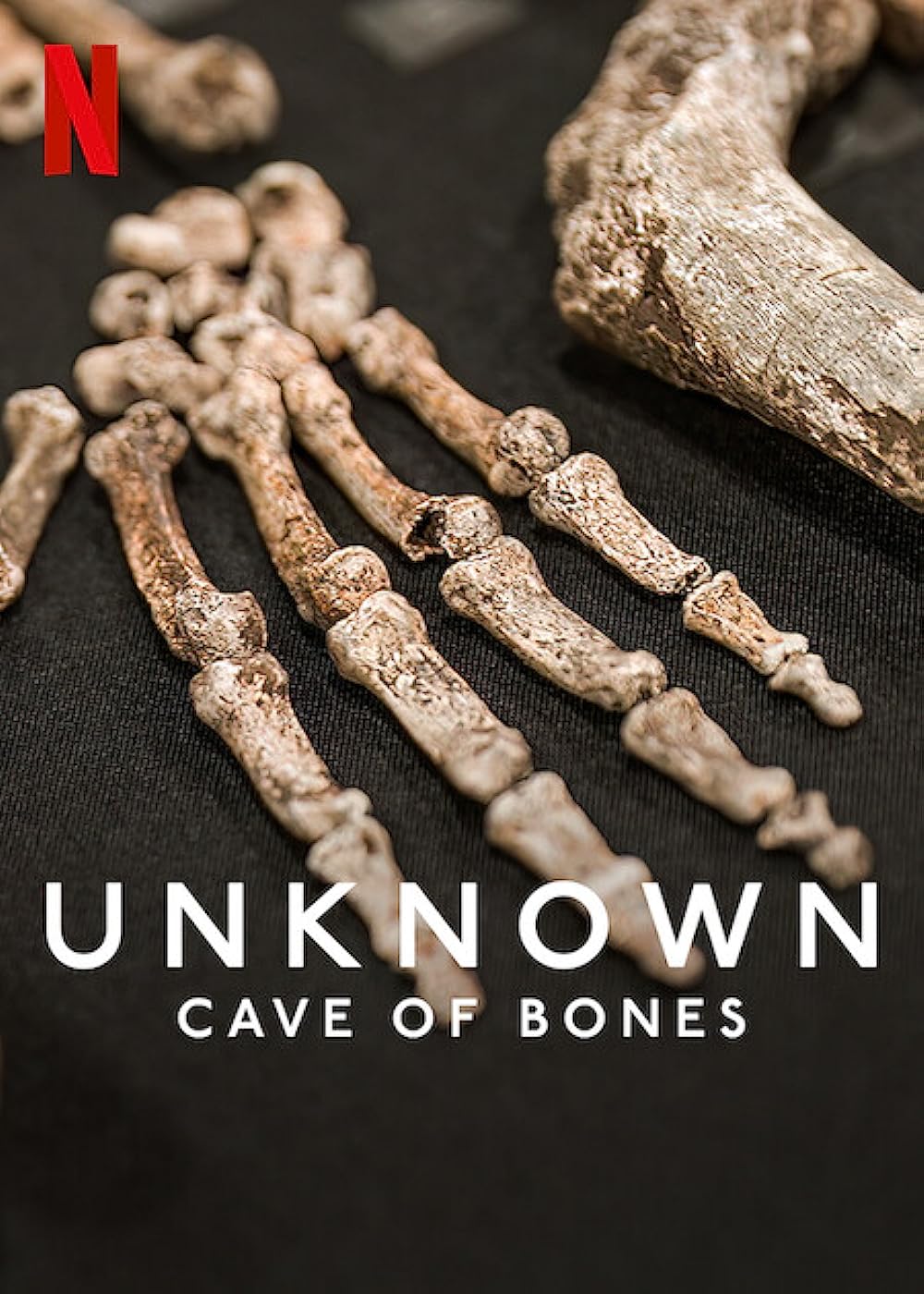 UNKNOWN CAVE OF BONES (2023) เปิดโลกลับ ถ้ำแห่งกองกระดูก (ซับไทย)